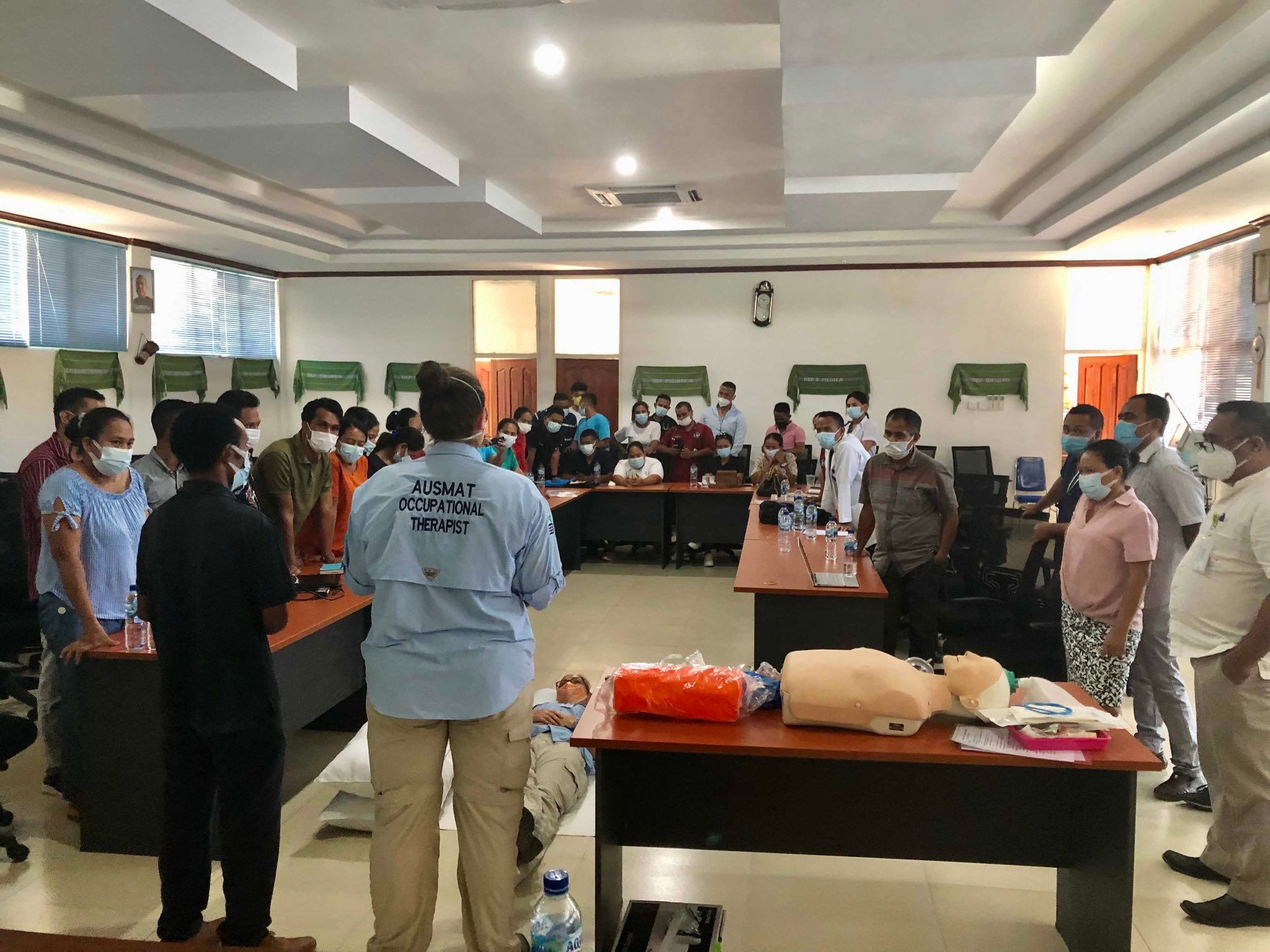 Global recognition for strengthening rehabilitation in health systems ...