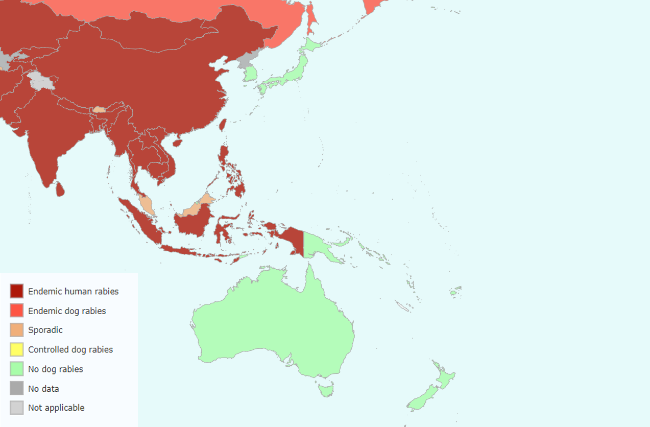 Rabies’ global impact and the fight for Zero by 2030 - National ...