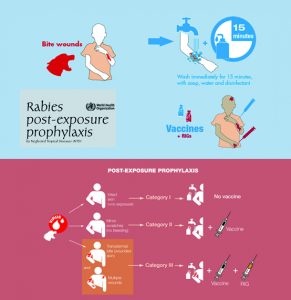Rabies’ global impact and the fight for Zero by 2030 - National ...
