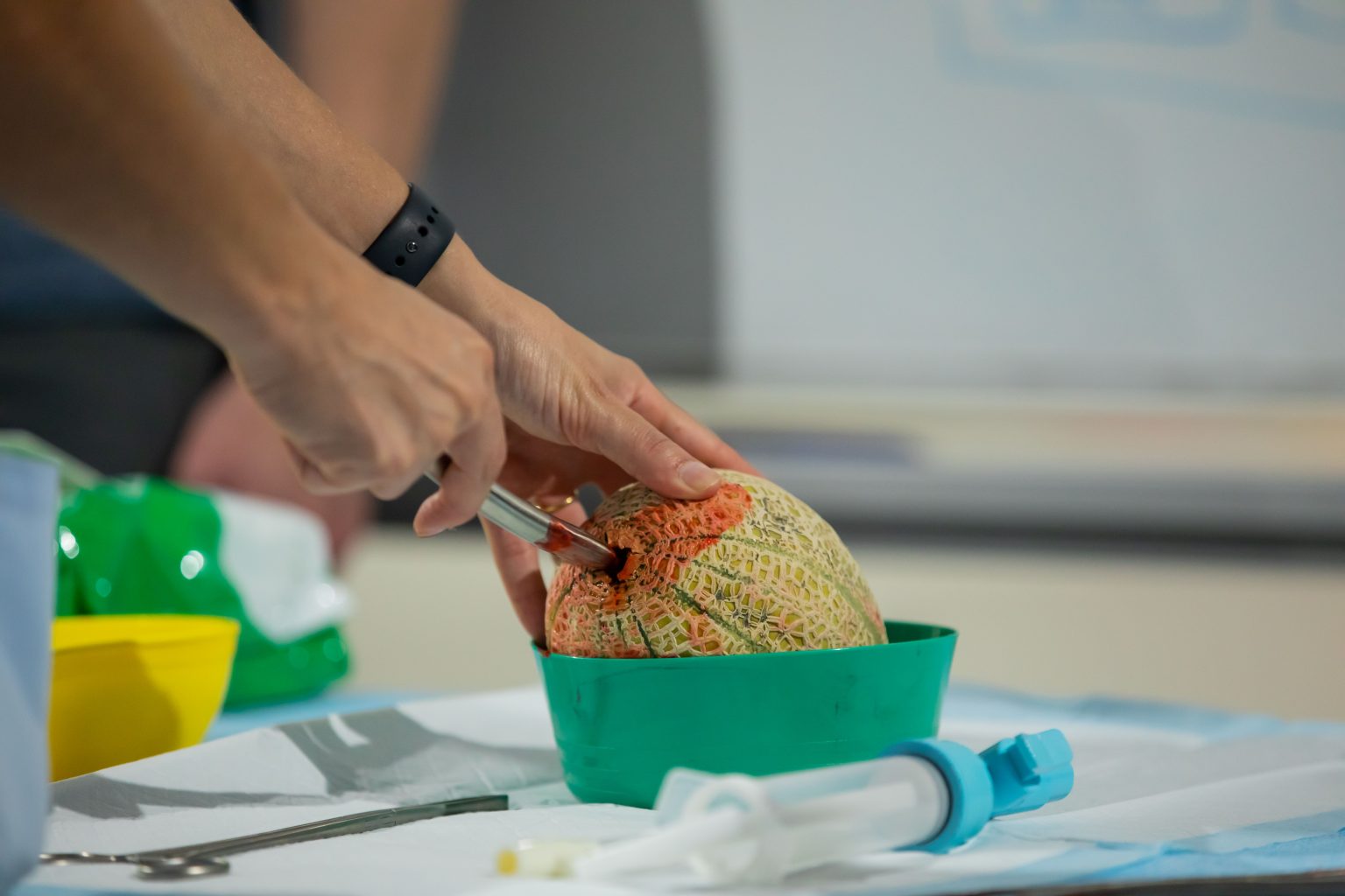 Fruitful learning – An innovative approach to obstetric training ...