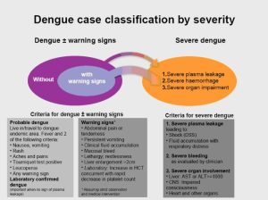 Dengue - From historical outbreaks to modern challenges - National ...