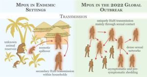 Mpox transmission and control: understanding the virus and global ...